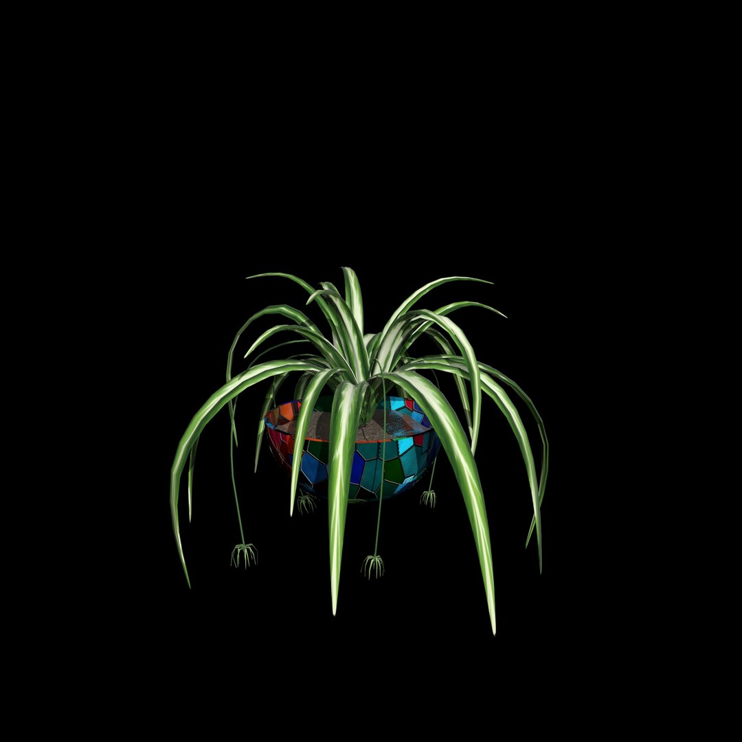 Houseplants Model - TurboSquid 1830255