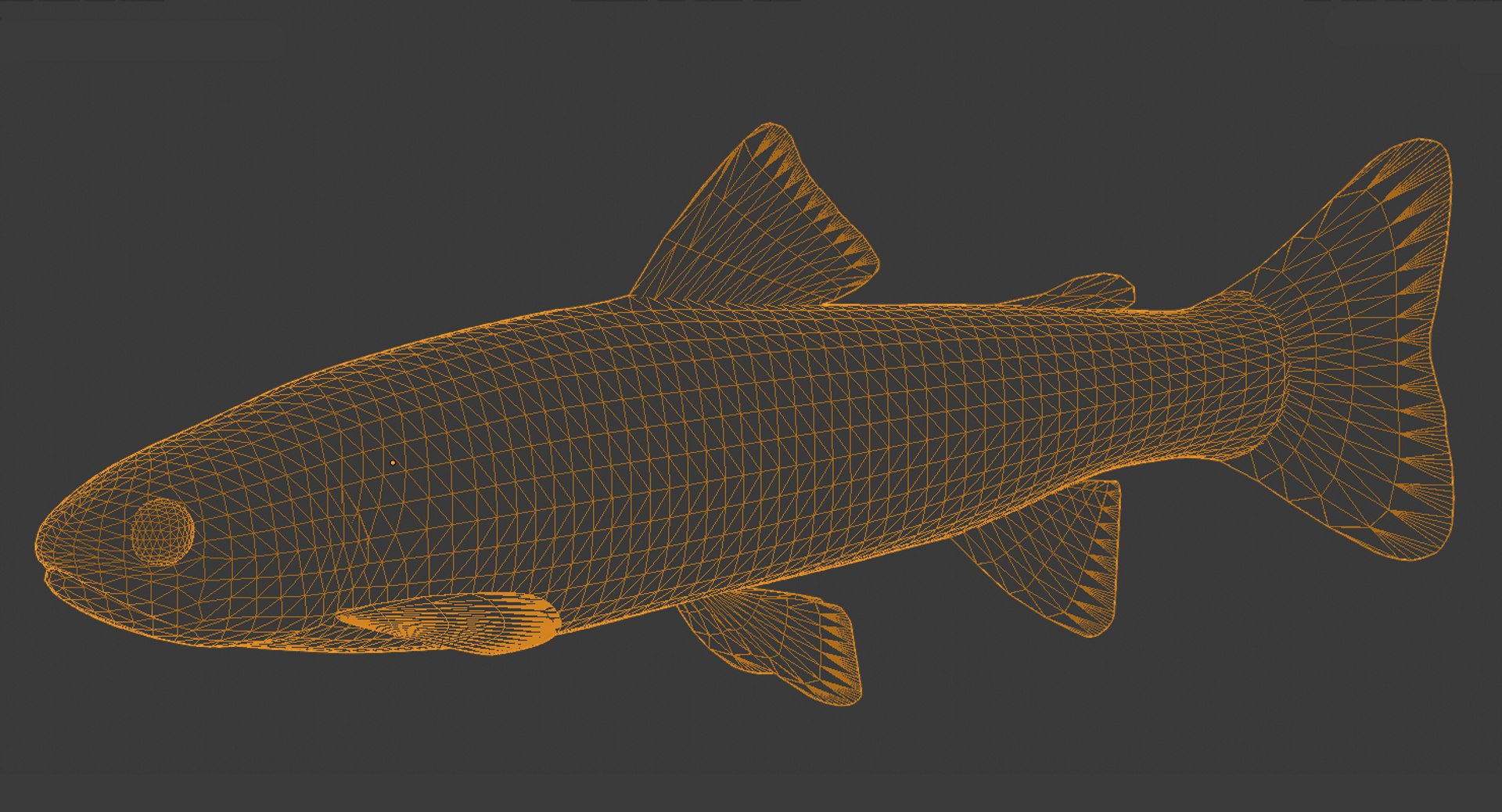 3d Model Of Swimming