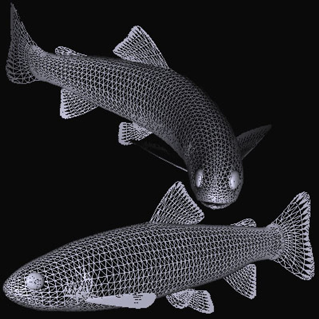 3d Model Of Swimming