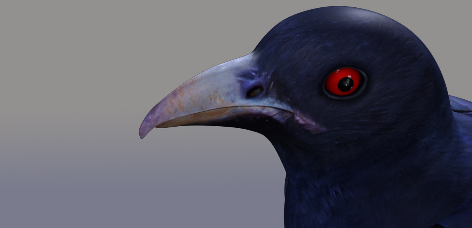 3d model koel