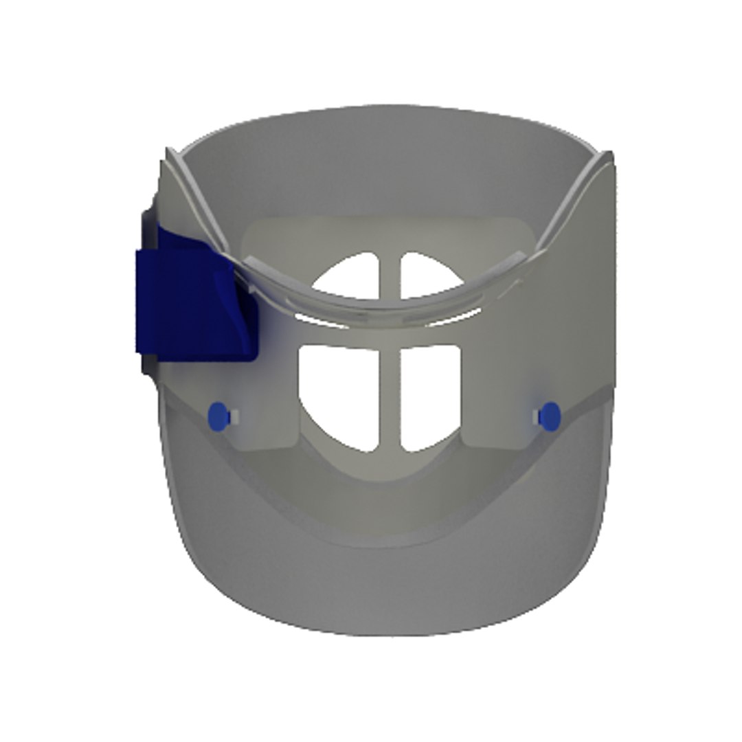 3d Model Of Spinal Collar Neck