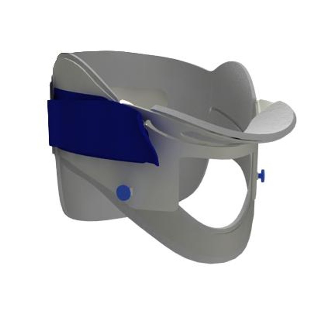 3d Model Of Spinal Collar Neck