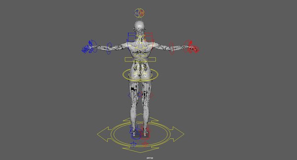 3D model muscular rig male - TurboSquid 1307764