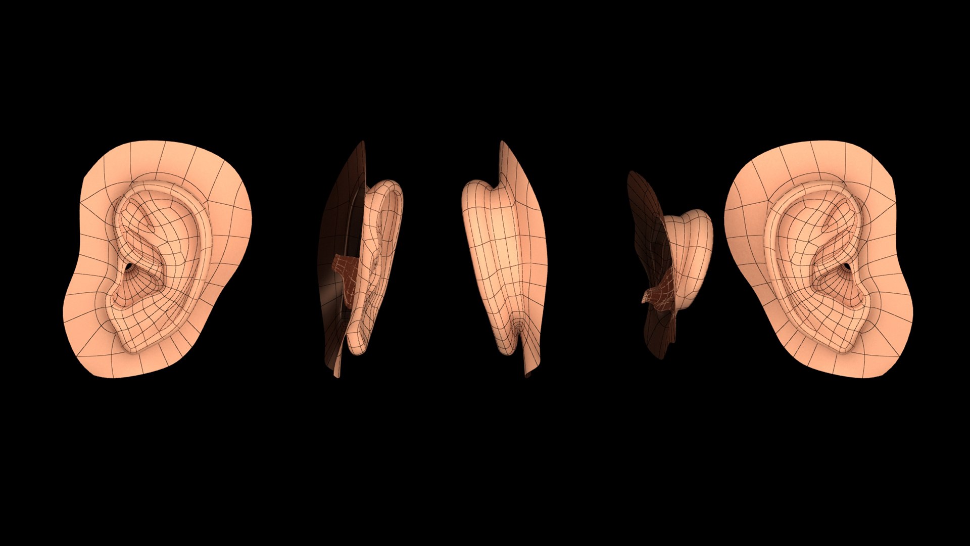 Ear Human Low-poly 3D Model 3D Model - TurboSquid 2204571