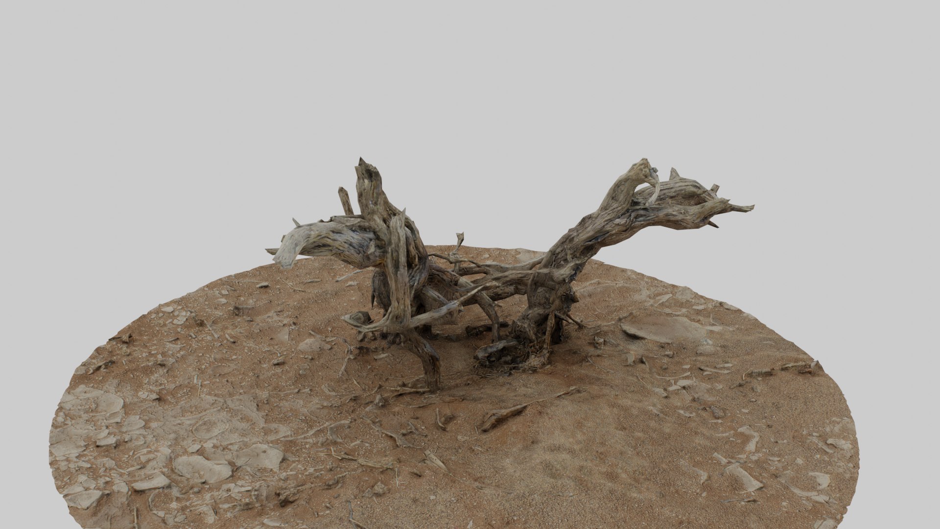 Dry Bush 01 - Scan Model - TurboSquid 2041769