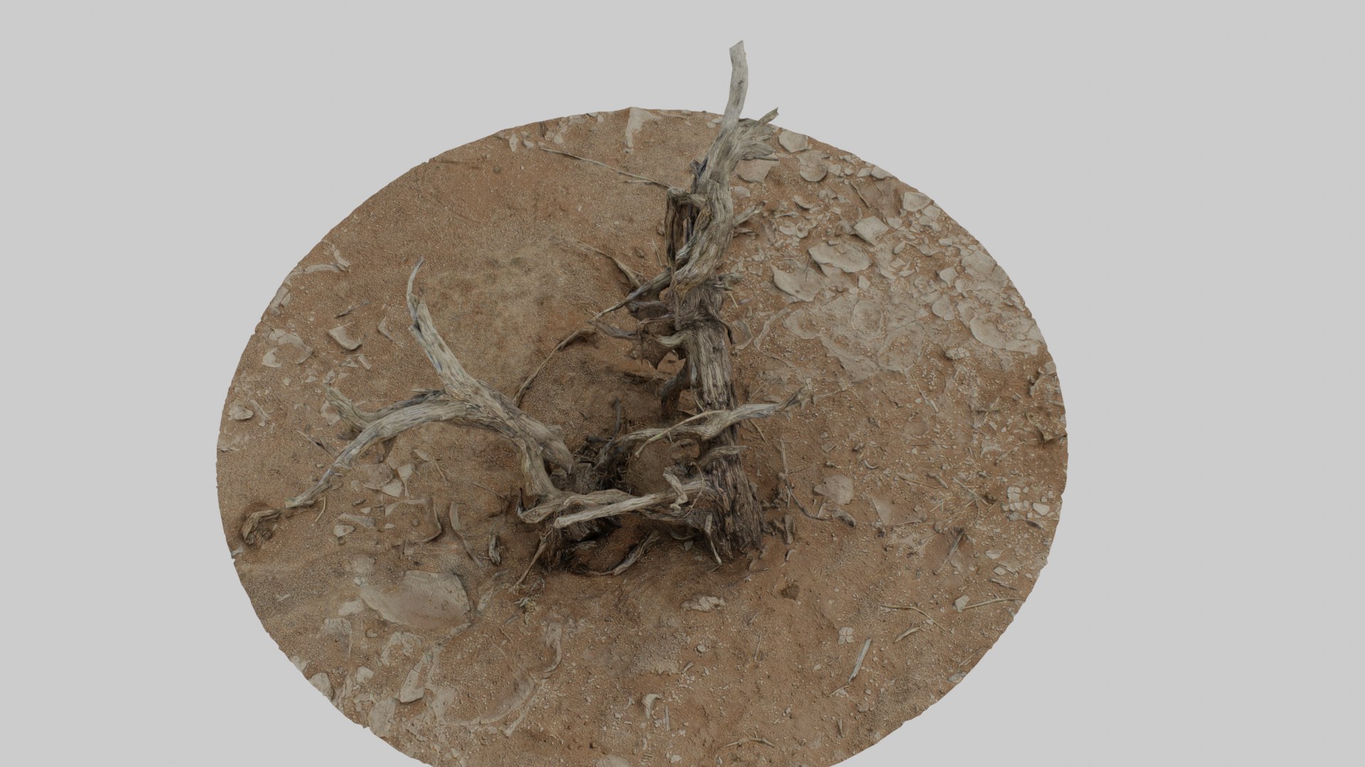 Dry Bush 01 - Scan Model - TurboSquid 2041769