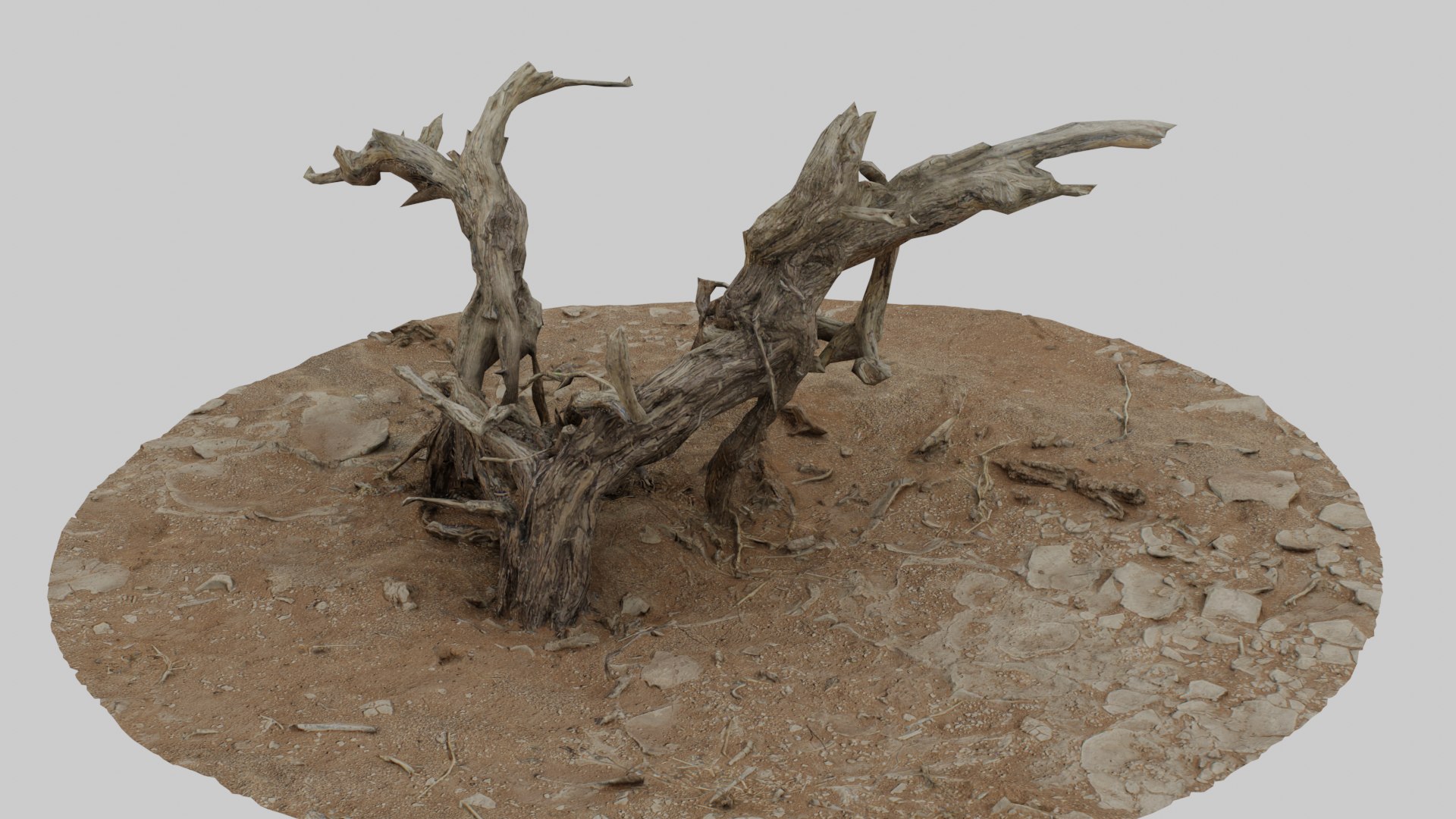 Dry Bush 01 - Scan Model - TurboSquid 2041769