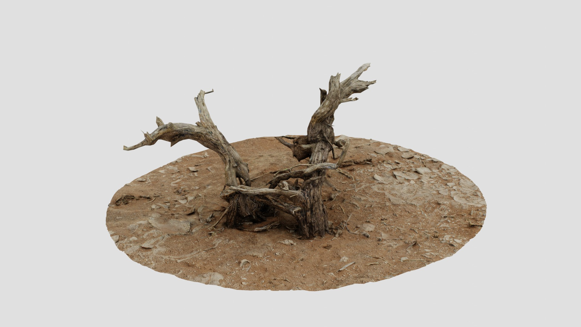 Dry Bush 01 - Scan Model - TurboSquid 2041769
