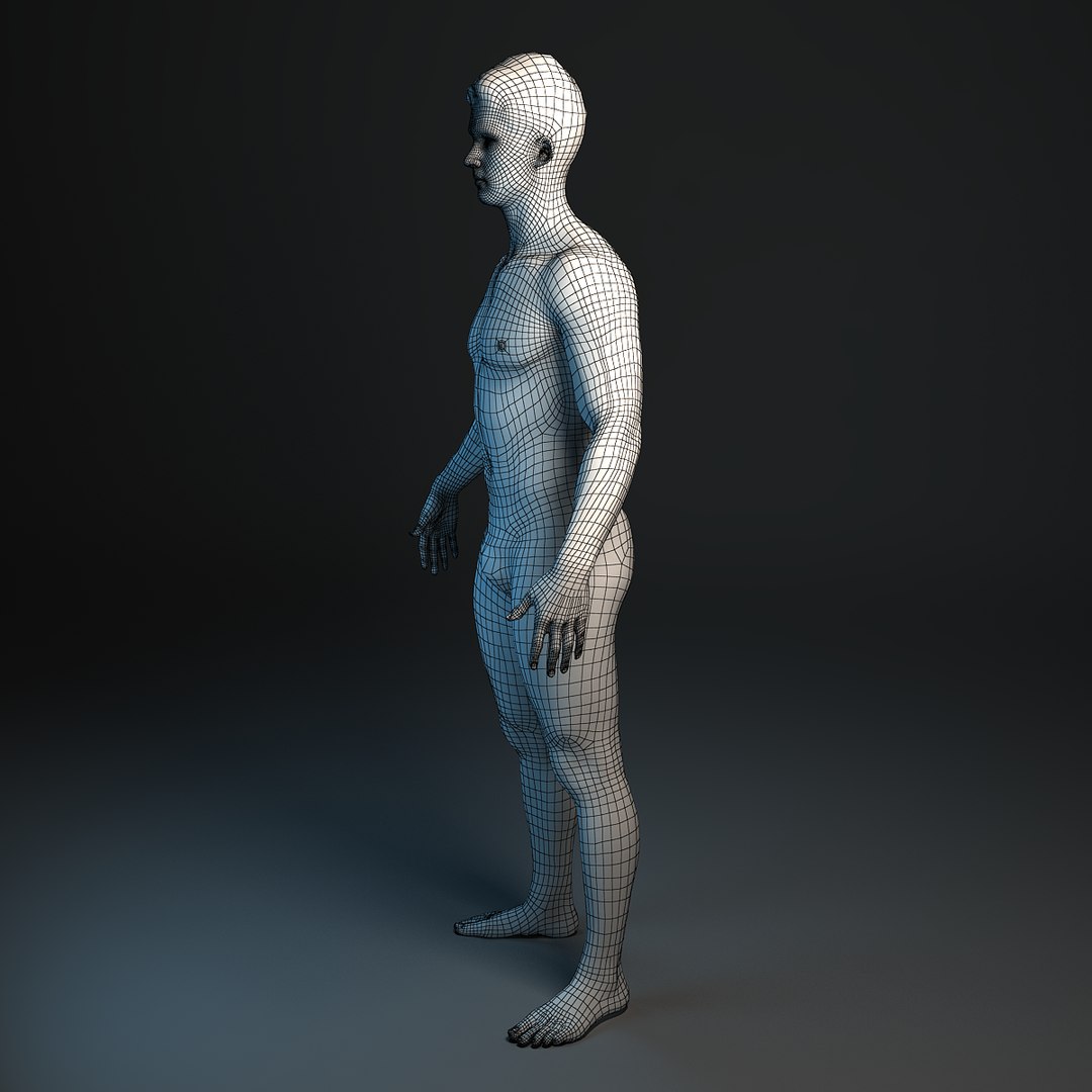 3d Human Rigging Ready