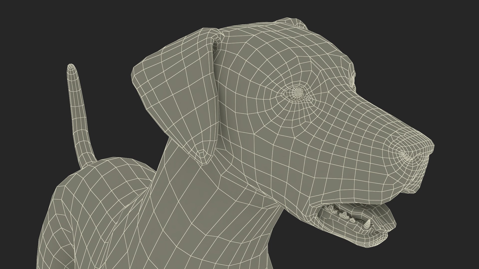 Dalmatian Dog Standing Pose 3D - TurboSquid 2230656