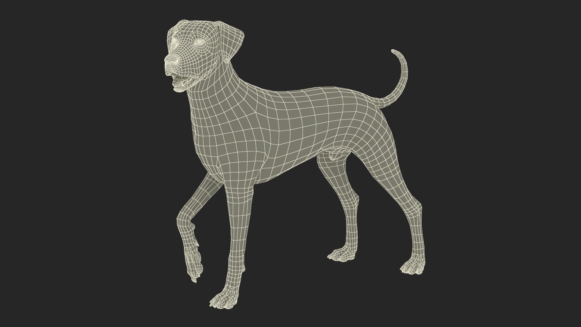 Dalmatian Dog Standing Pose 3D - TurboSquid 2230656