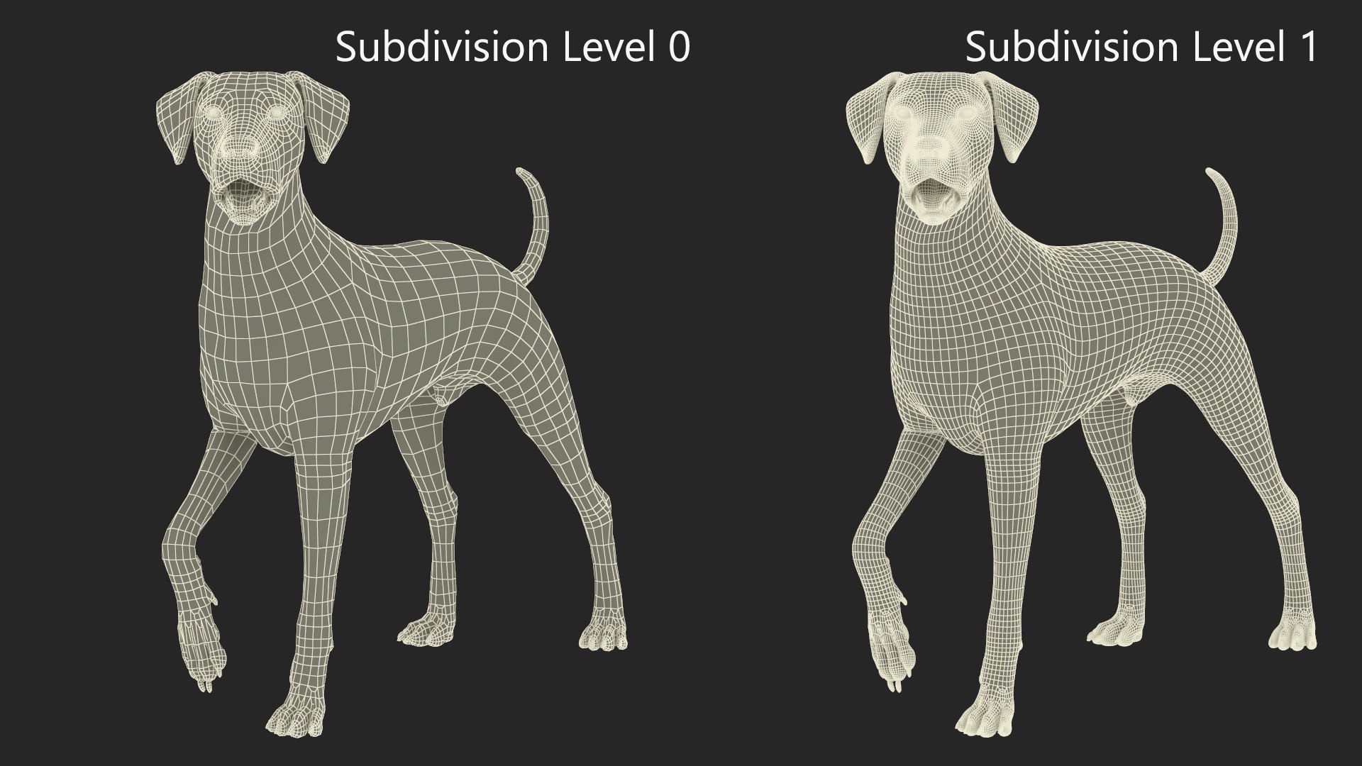 Dalmatian Dog Standing Pose 3D - TurboSquid 2230656