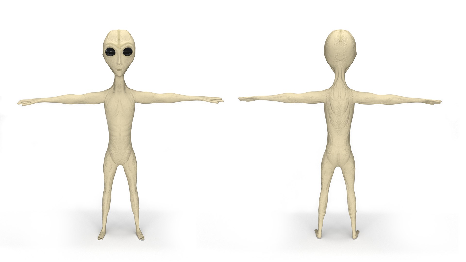 Alien Skeleton 3D Model - TurboSquid 2013078