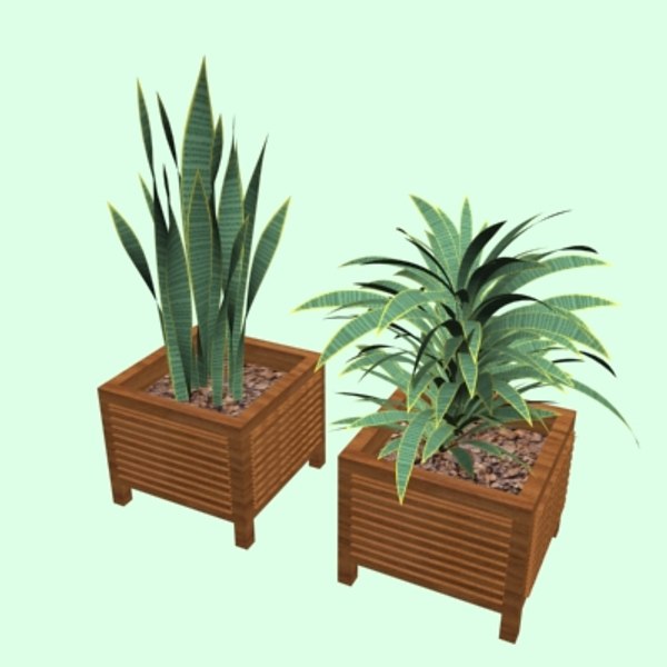 3d model planters office