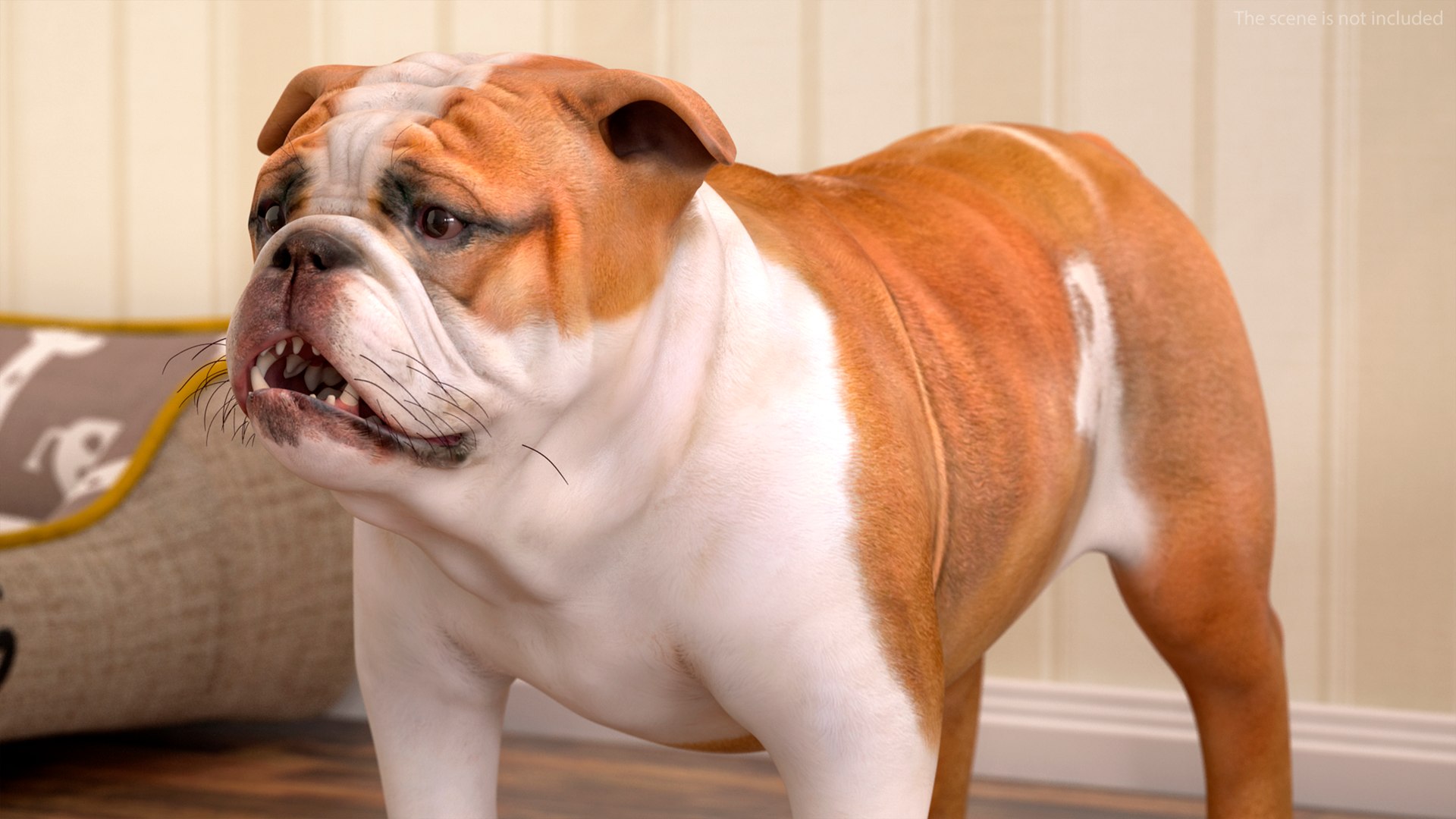 Bulldog Rigged For Cinema 4D 3D - TurboSquid 2223692