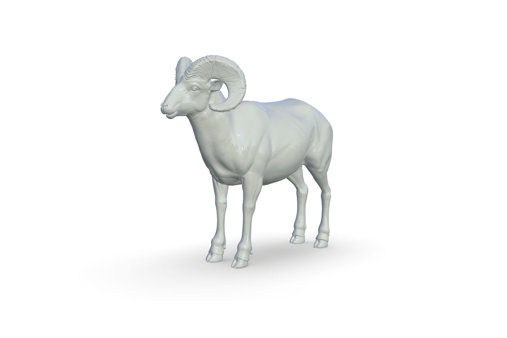 3D Dall Sheep - TurboSquid 2206724