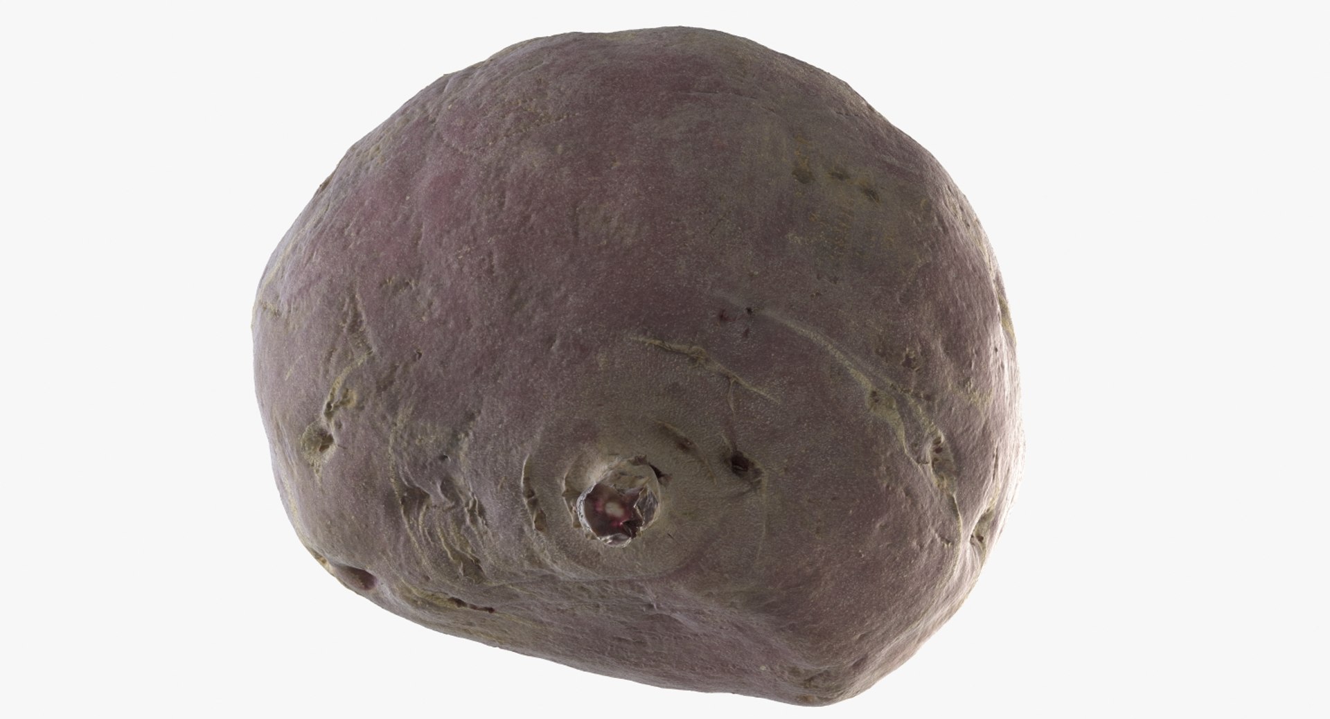 3D Model Beetroot Beet Root - TurboSquid 1169166