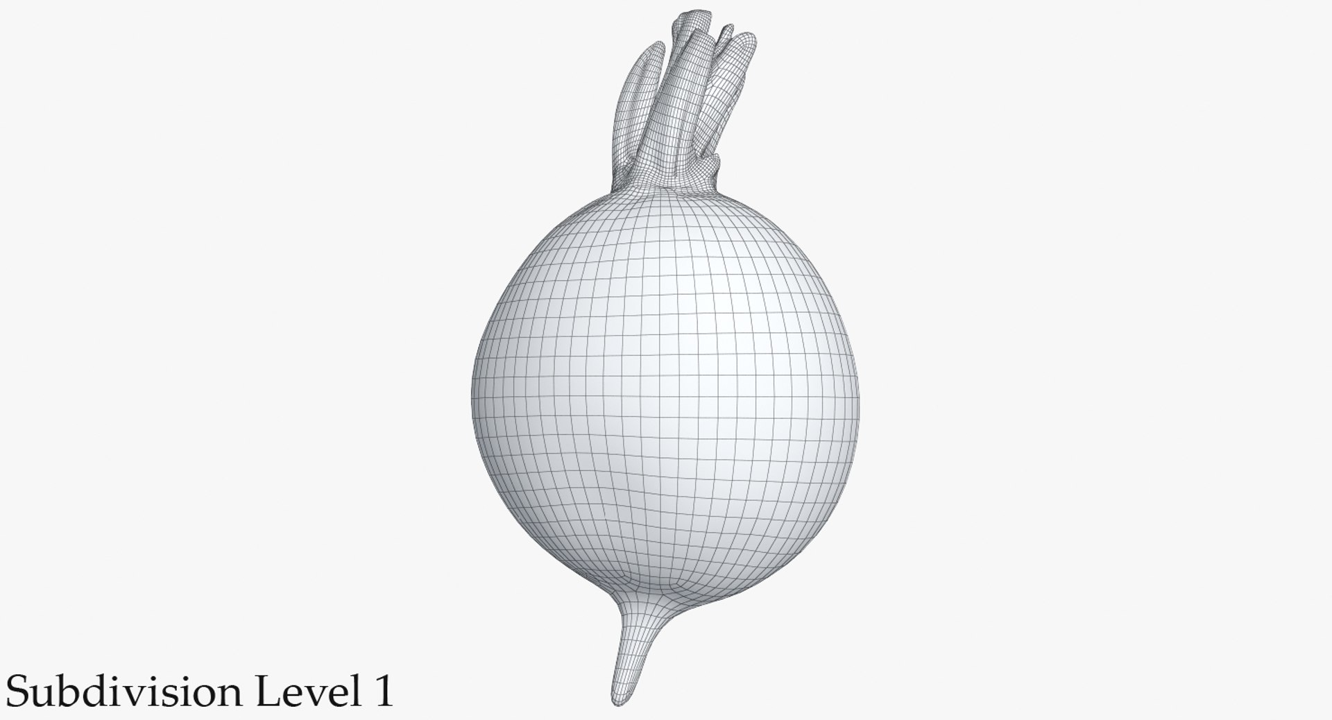 3D Model Beetroot Beet Root - TurboSquid 1169166