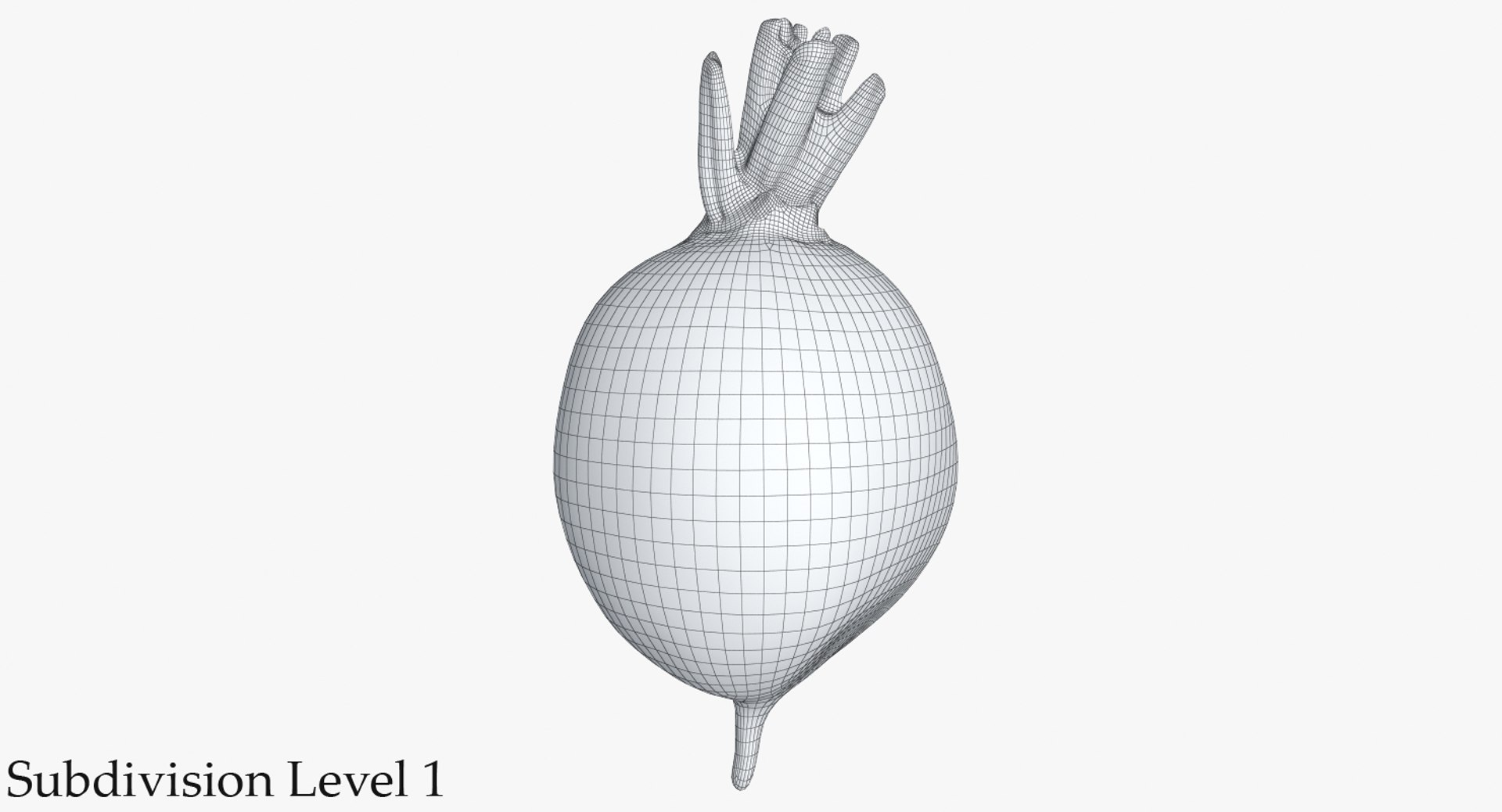 3D Model Beetroot Beet Root - TurboSquid 1169166