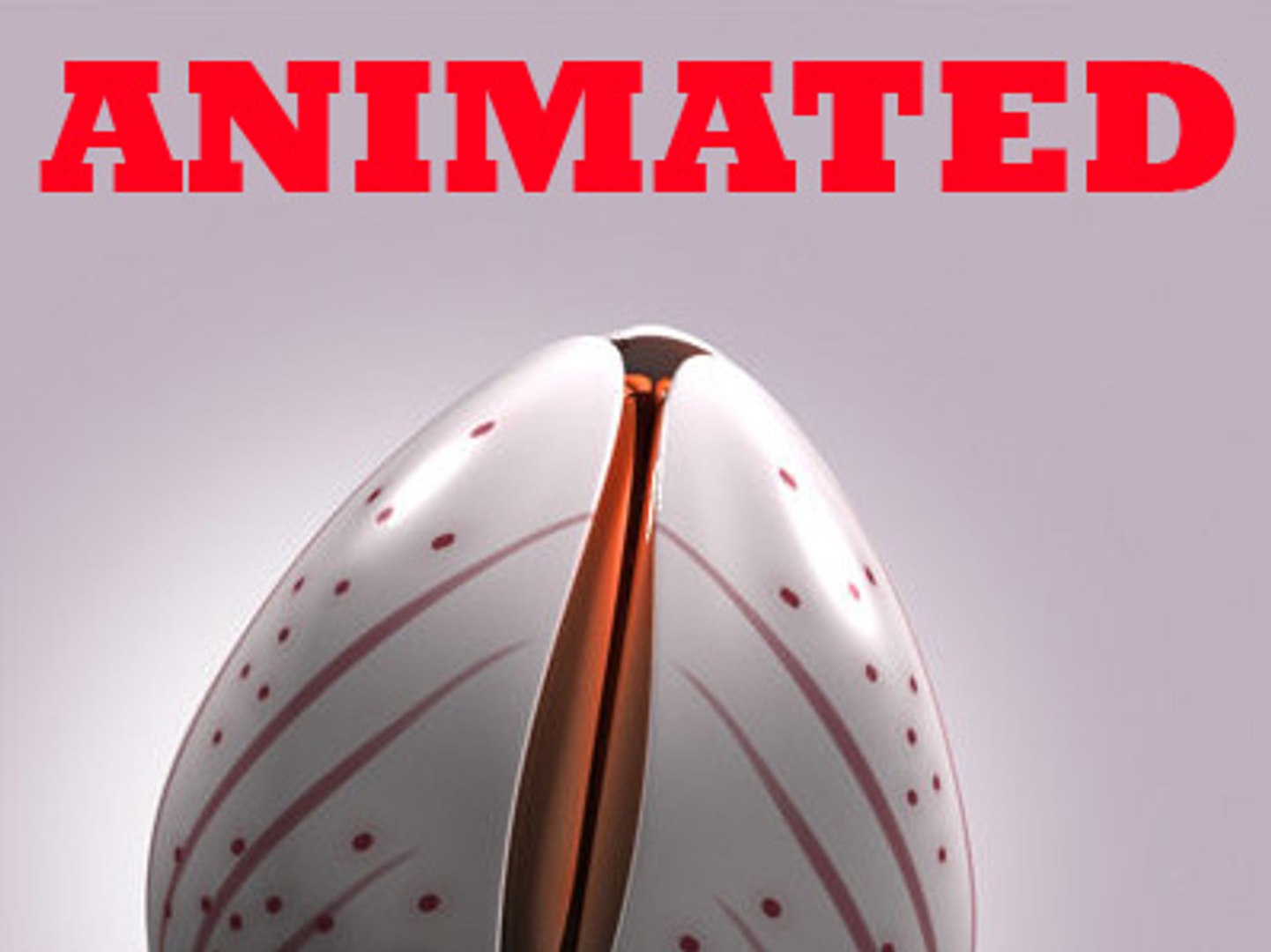 flower animation max