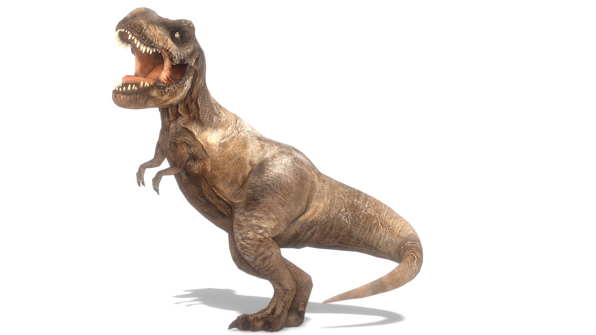 Tyrannosaurus Rex Animated Model - TurboSquid 2128917