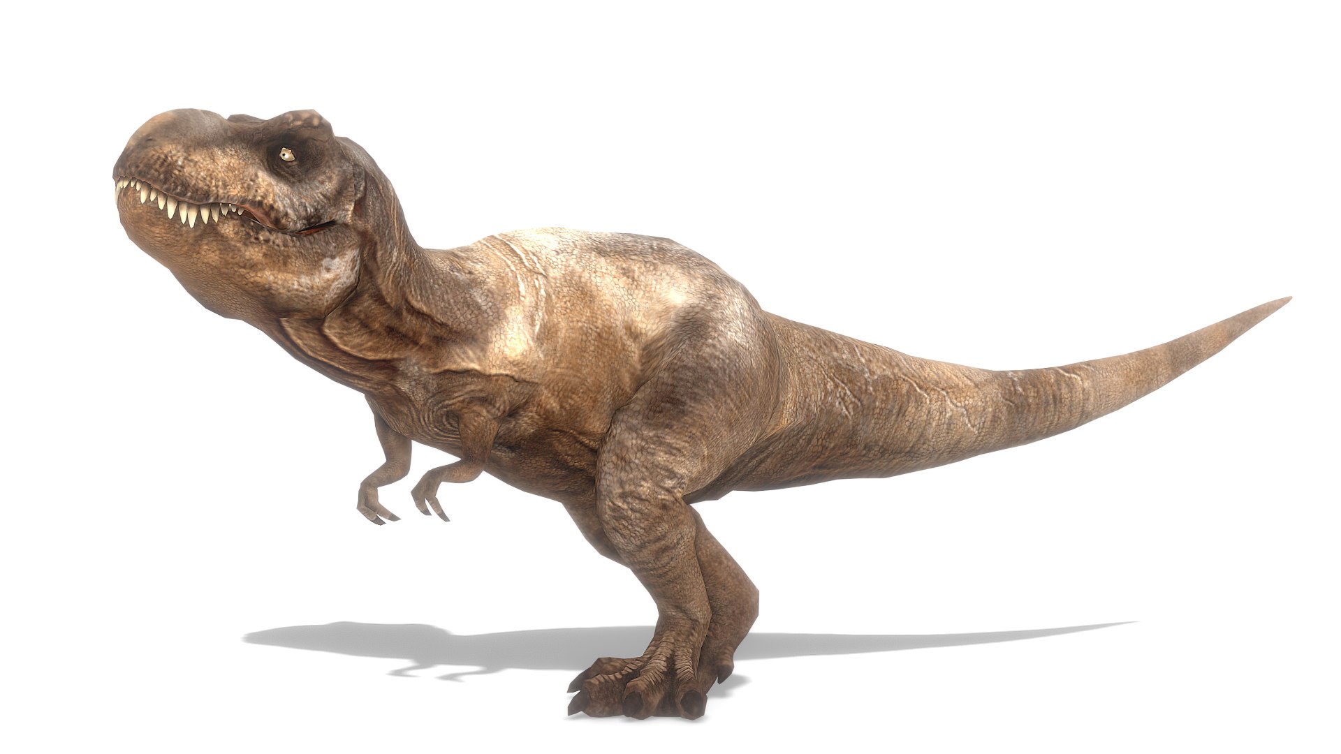 Tyrannosaurus Rex Animated Model - TurboSquid 2128917