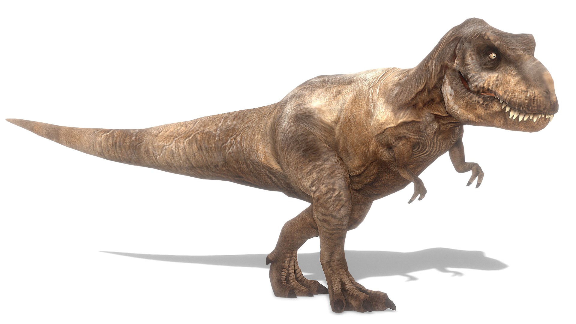 Tyrannosaurus Rex Animated Model - TurboSquid 2128917
