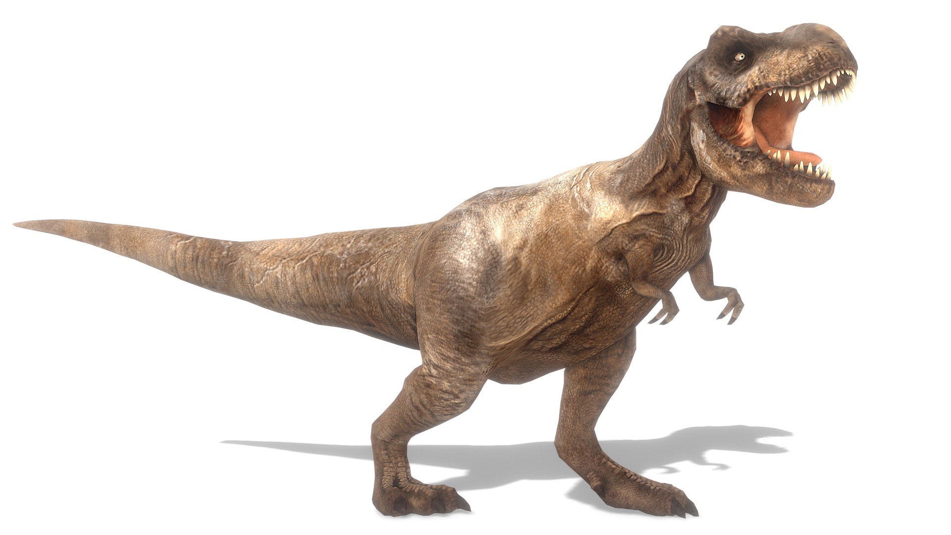 Tyrannosaurus Rex Animated Model - TurboSquid 2128917