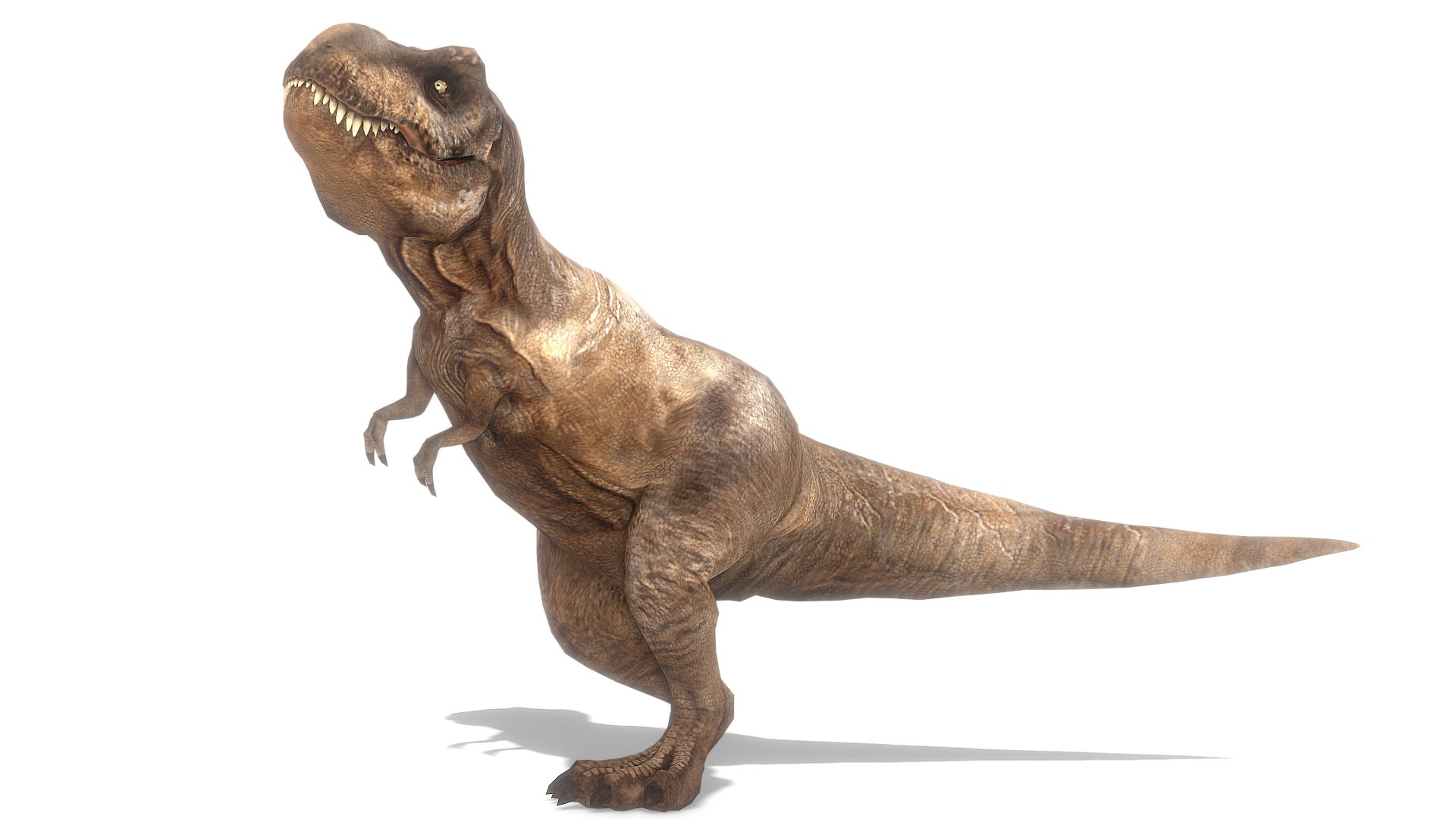 Tyrannosaurus Rex Animated Model - TurboSquid 2128917
