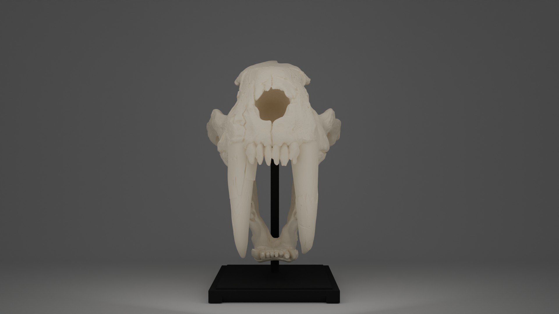 3D Saber-Toothed Tiger Skull 3D Model - High Precision Digital Replica ...