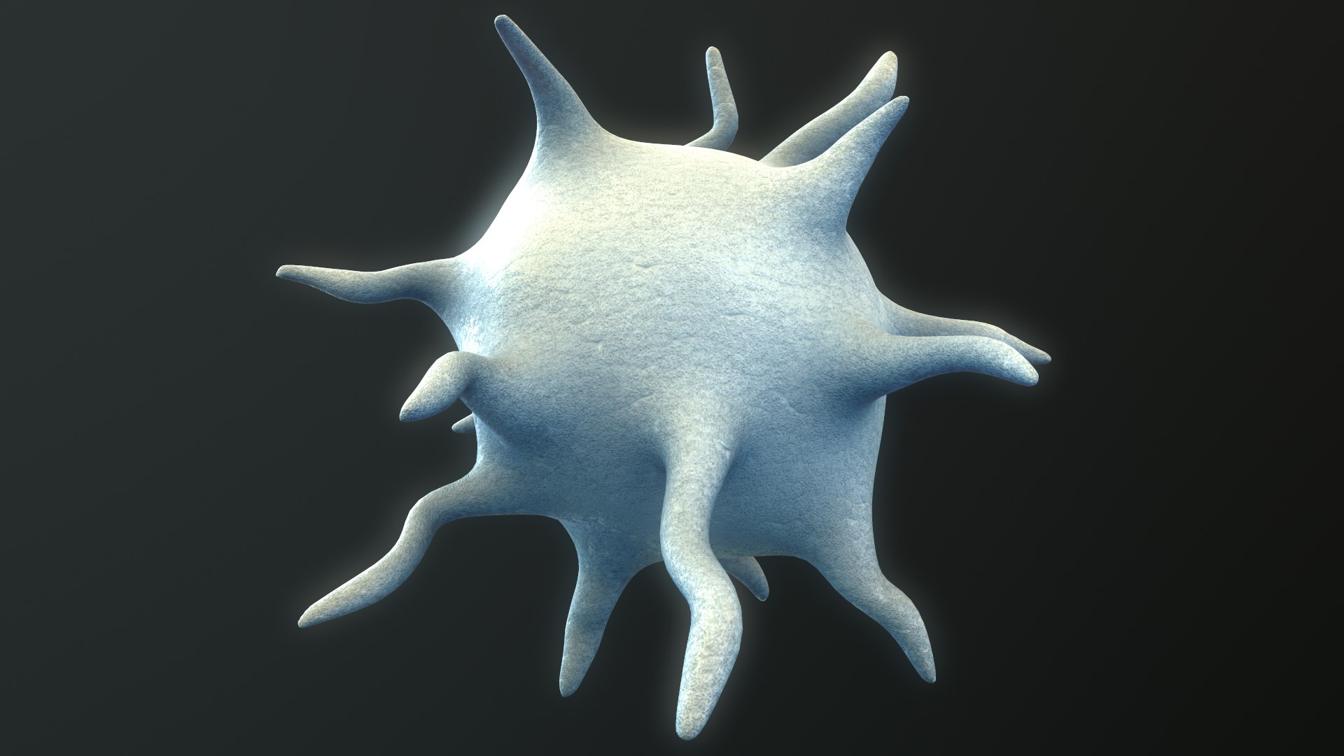 Platelet Thrombocyte 3D - TurboSquid 1468343