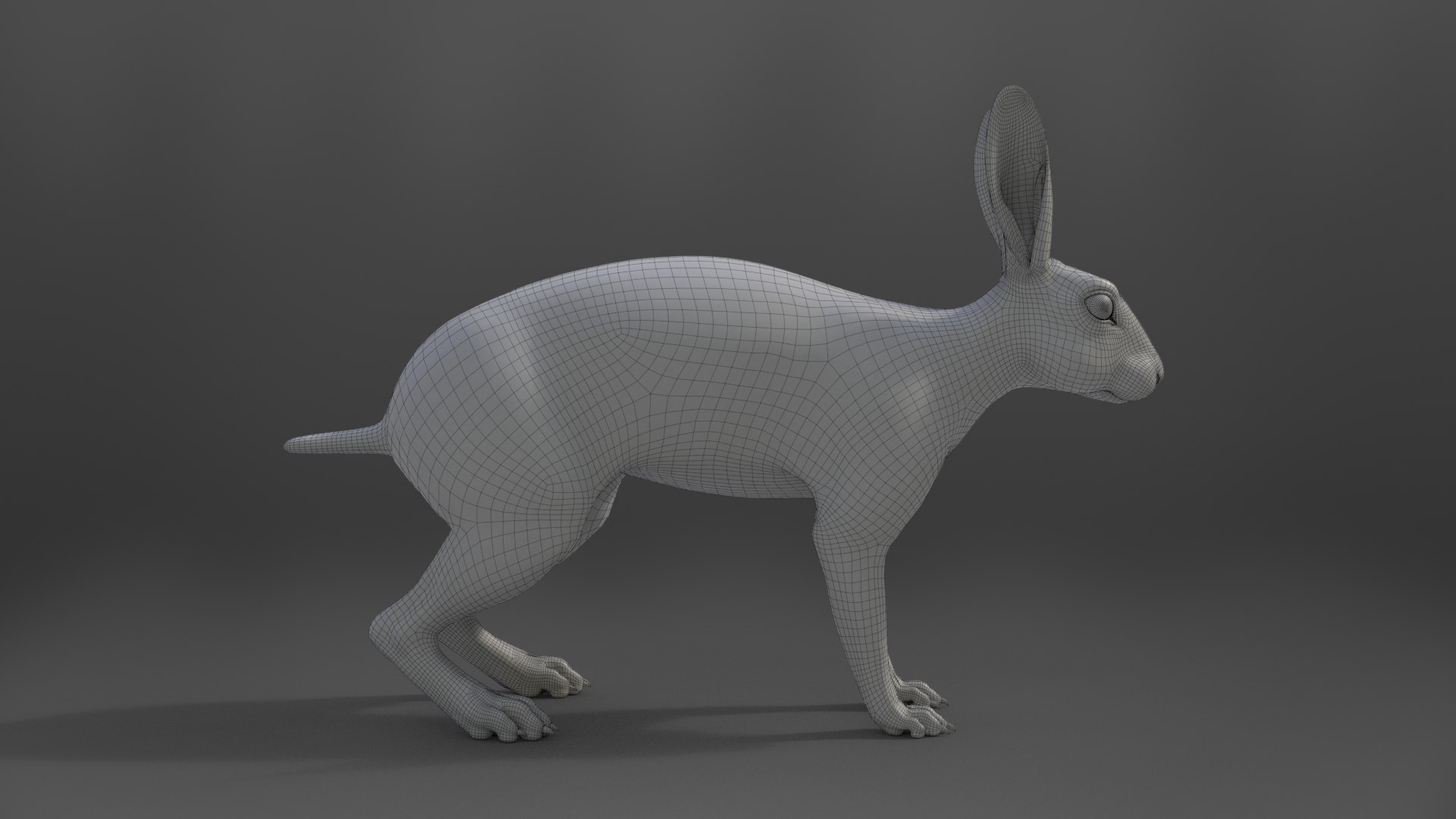 White rabbit Animated 3D model - TurboSquid 2004236