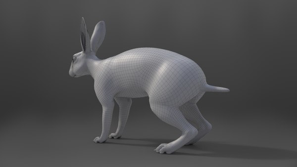 White rabbit Animated 3D model - TurboSquid 2004236