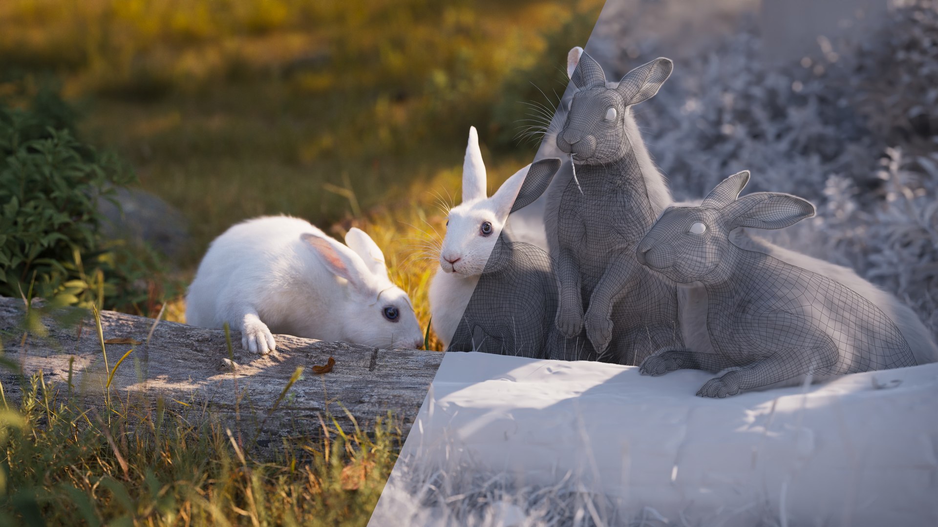 White rabbit Animated 3D model - TurboSquid 2004236