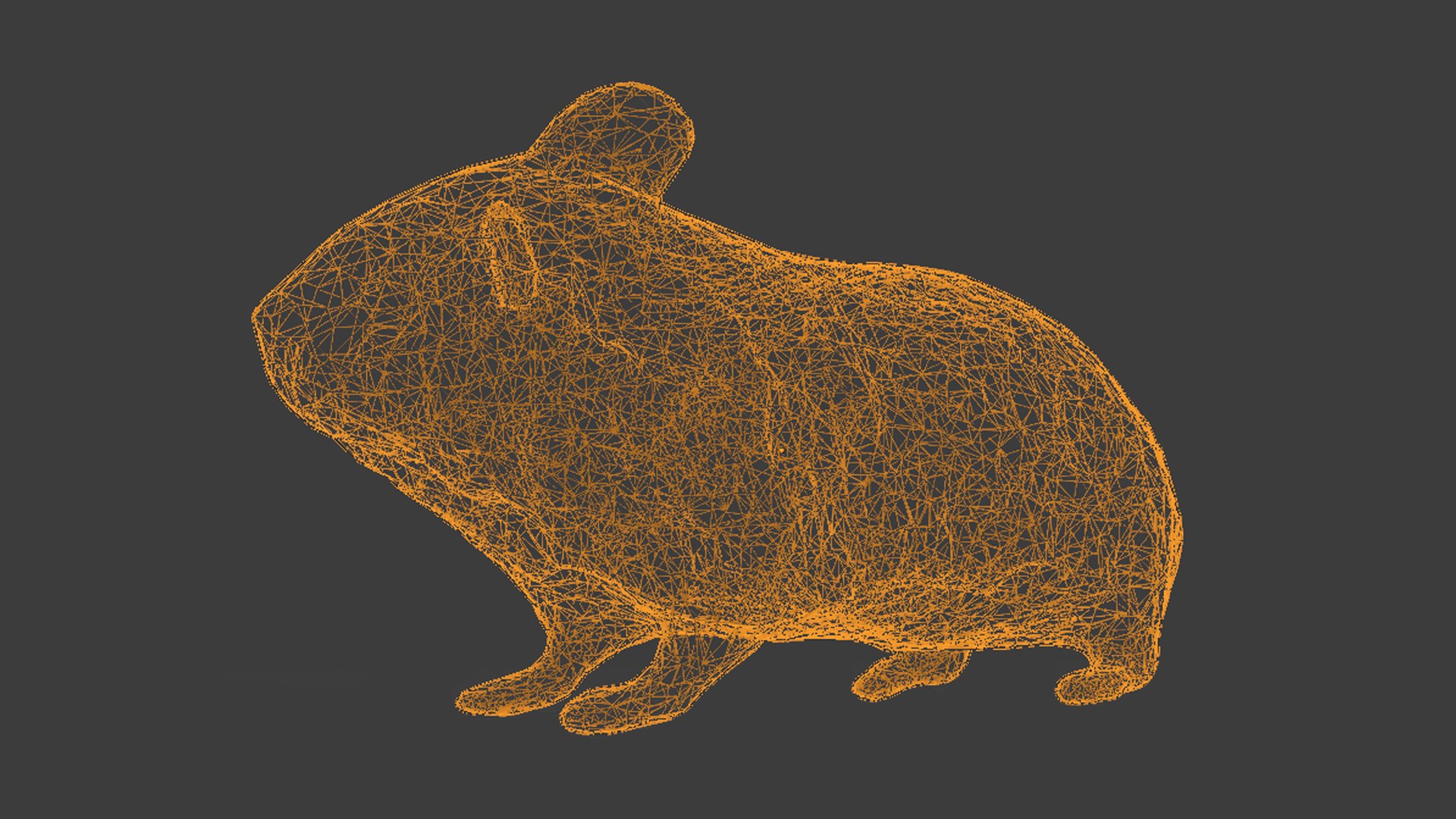 3D Hamster Model - TurboSquid 2286987