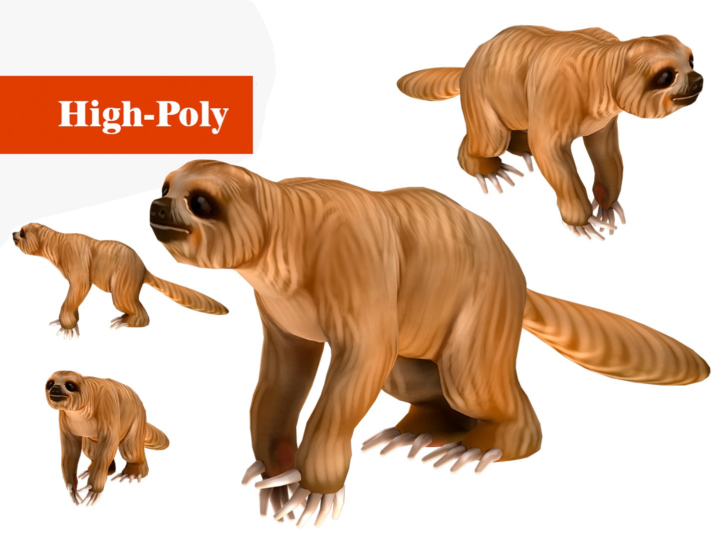 3D Sloth Low-poly Model - TurboSquid 1461625