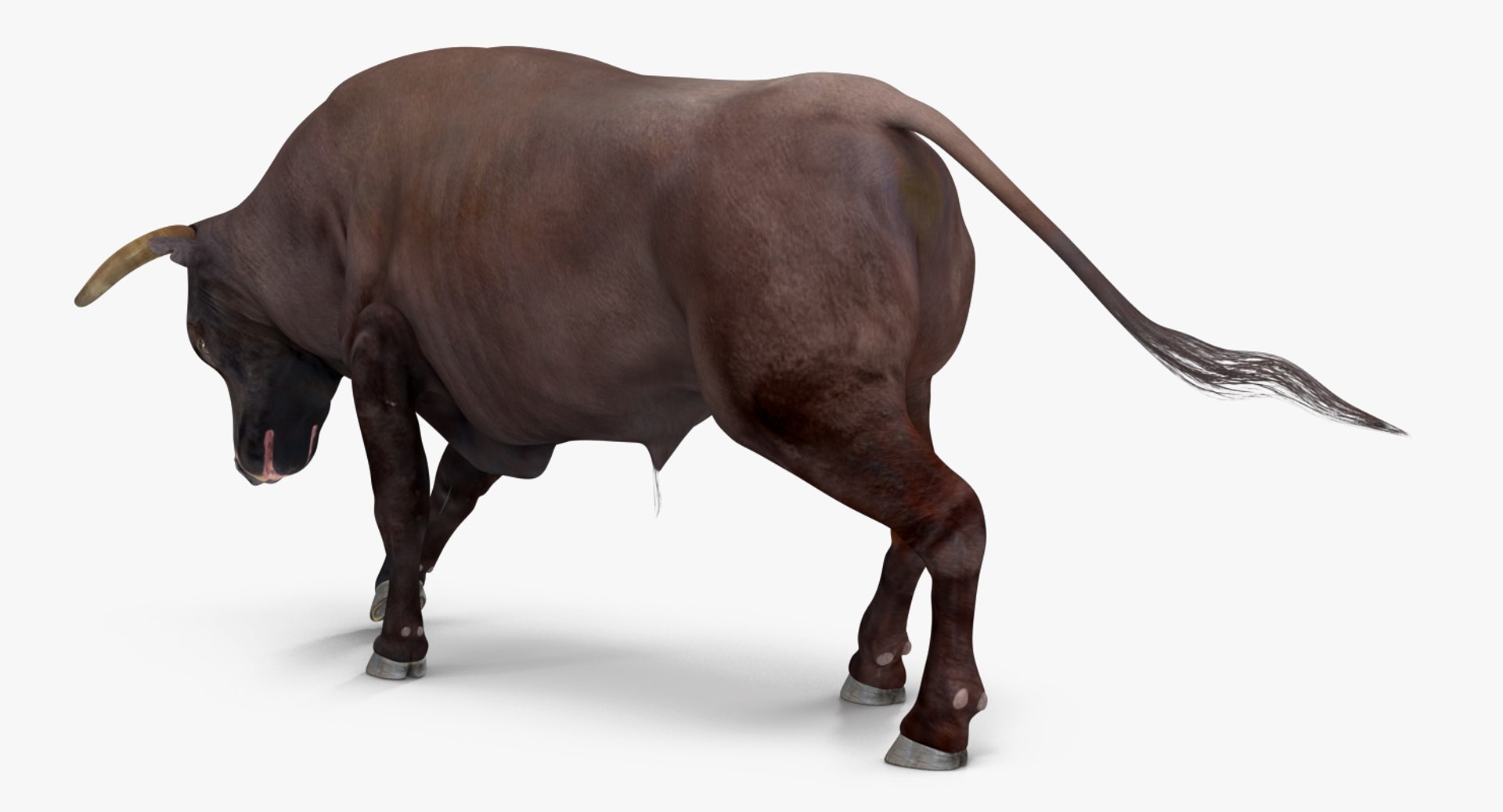 3D bull rigged model - TurboSquid 1244090