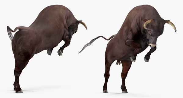 3D bull rigged model - TurboSquid 1244090