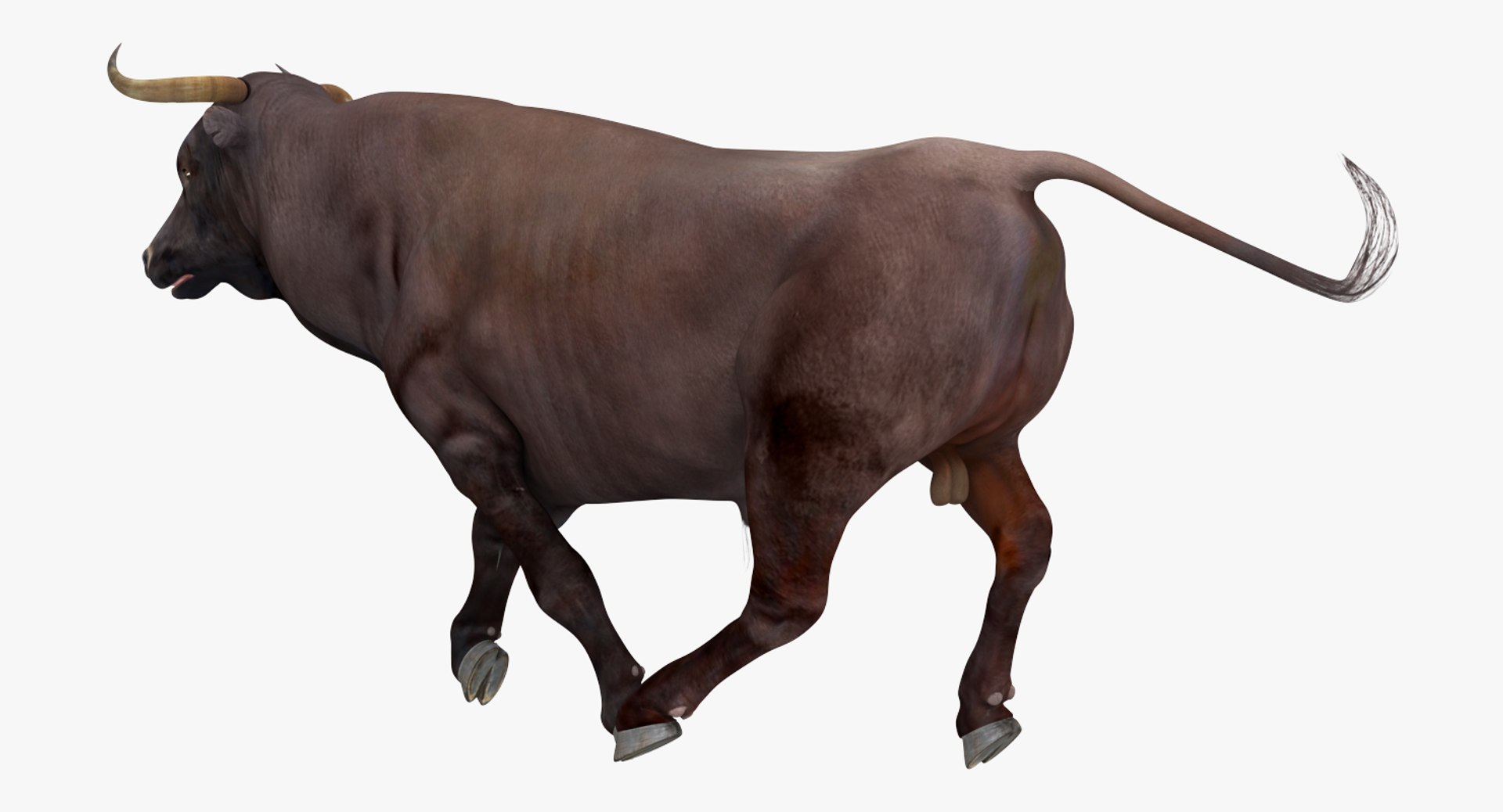 3D bull rigged model - TurboSquid 1244090