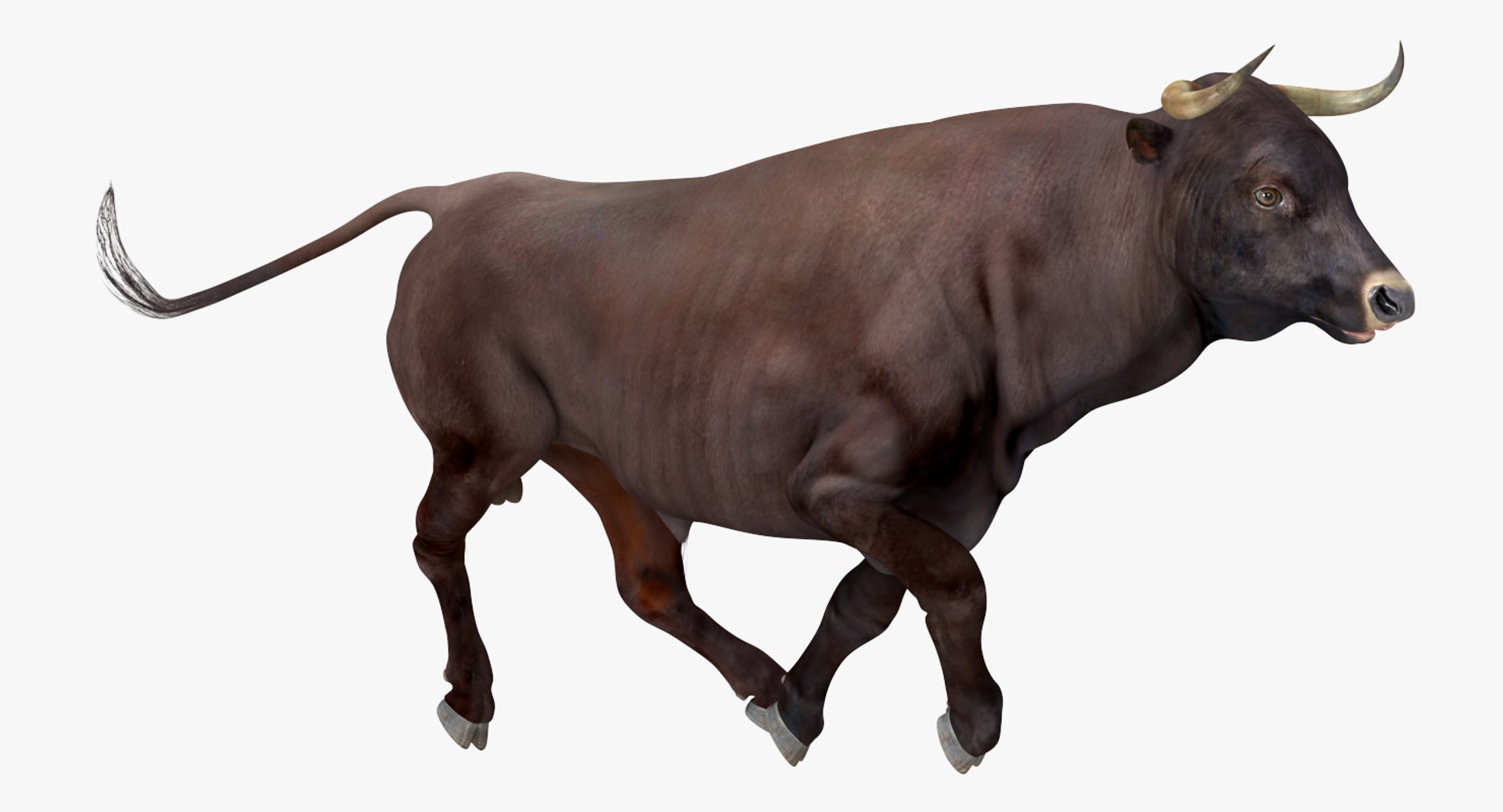 3D bull rigged model - TurboSquid 1244090