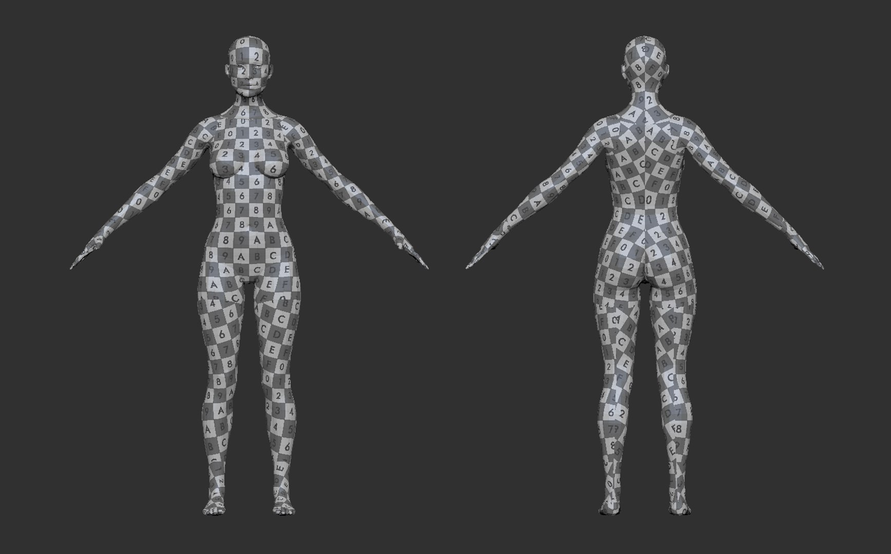 Mesh Uvs 3D - TurboSquid 1390592