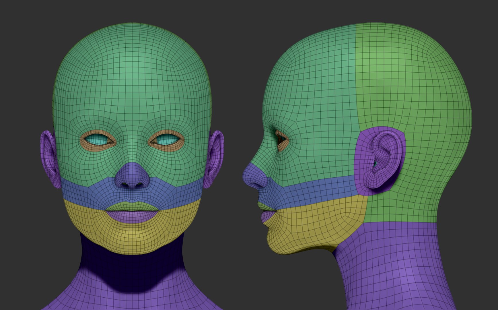 Mesh Uvs 3D - TurboSquid 1390592
