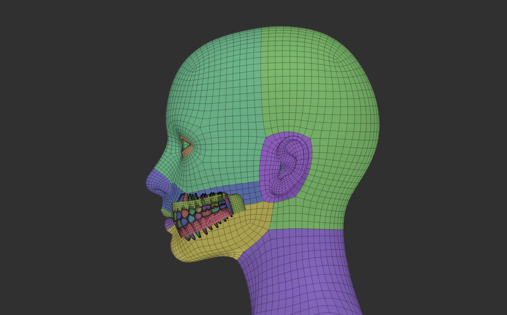 Mesh Uvs 3D - TurboSquid 1390592