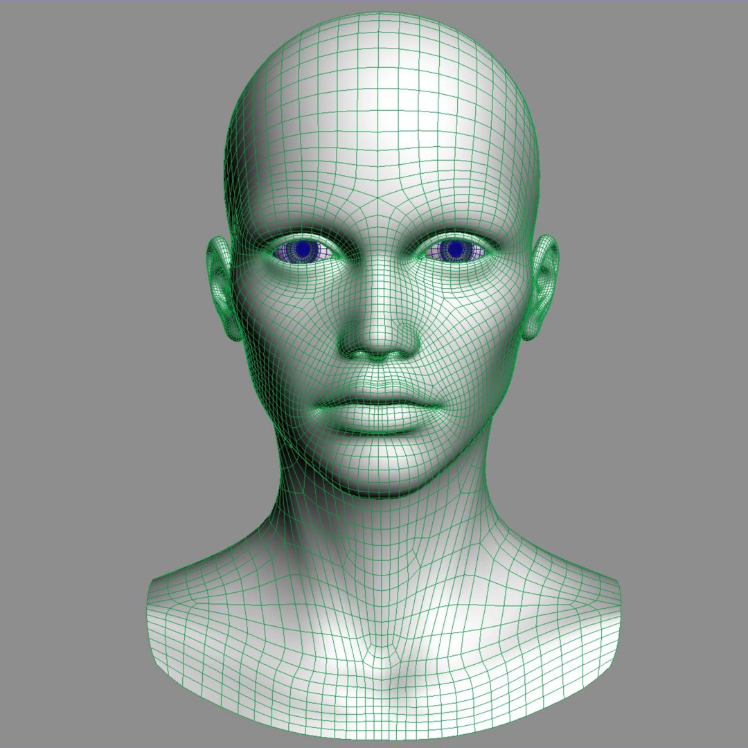 3d Polygonal Female Head Model
