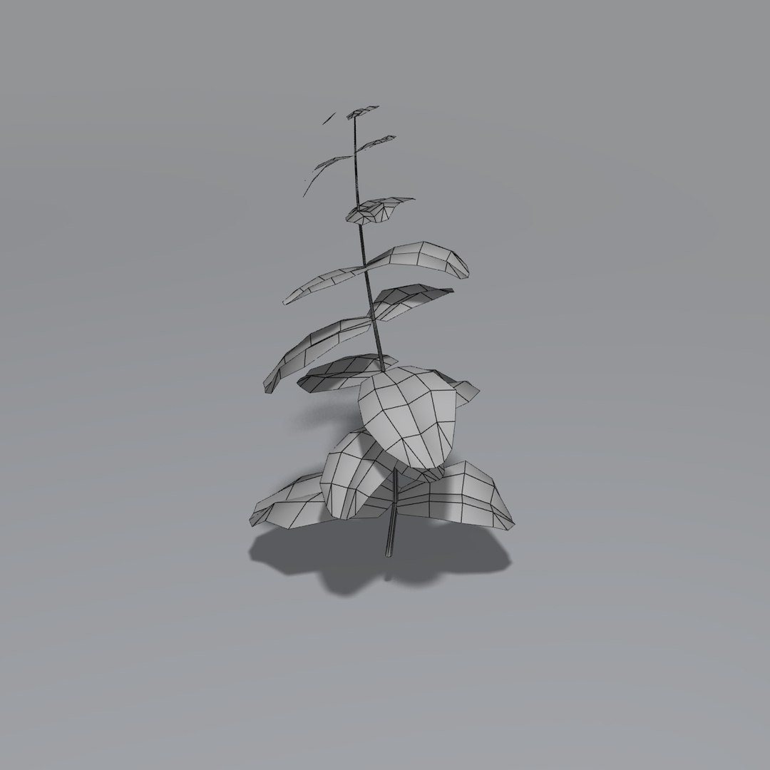 3d Model Perennial Weed Plant