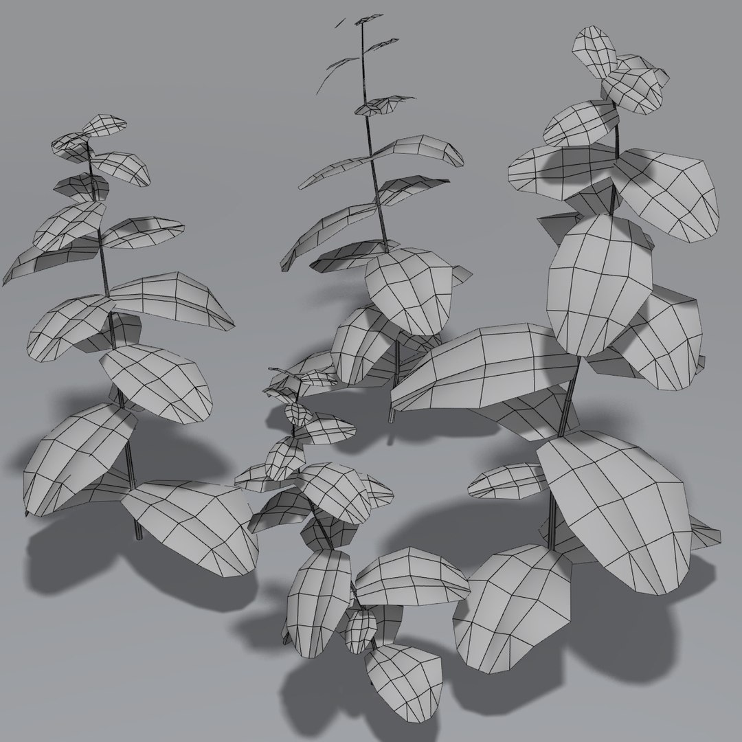 3d Model Perennial Weed Plant