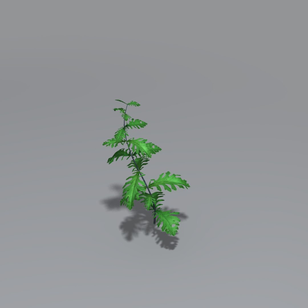 3d Model Perennial Weed Plant
