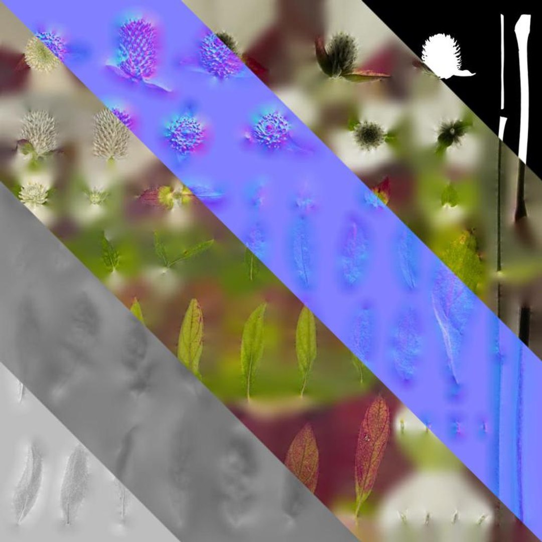 3D Anydrafts Gomphrena Globosa Atlas 01 Textures - TurboSquid 2355867