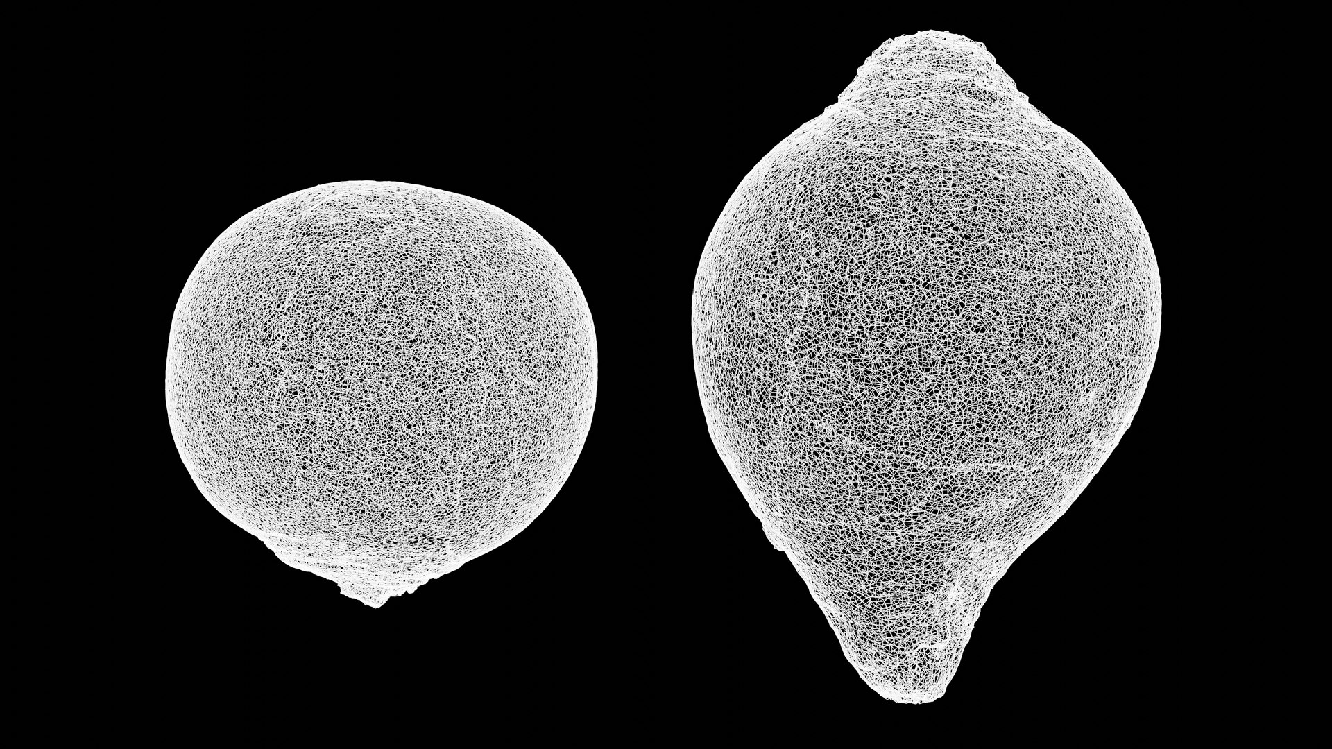 3D Turnip Model - TurboSquid 2459588