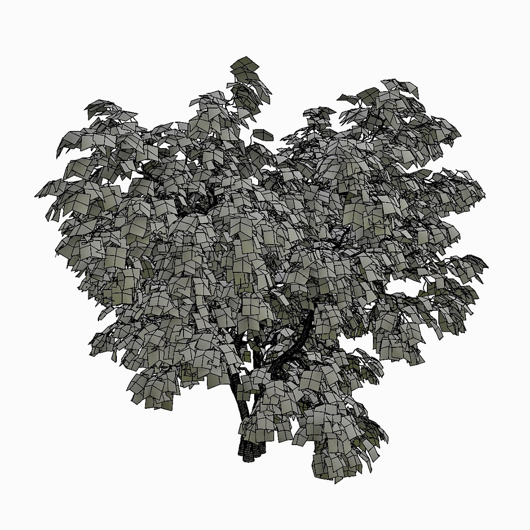 3d Tree Environment